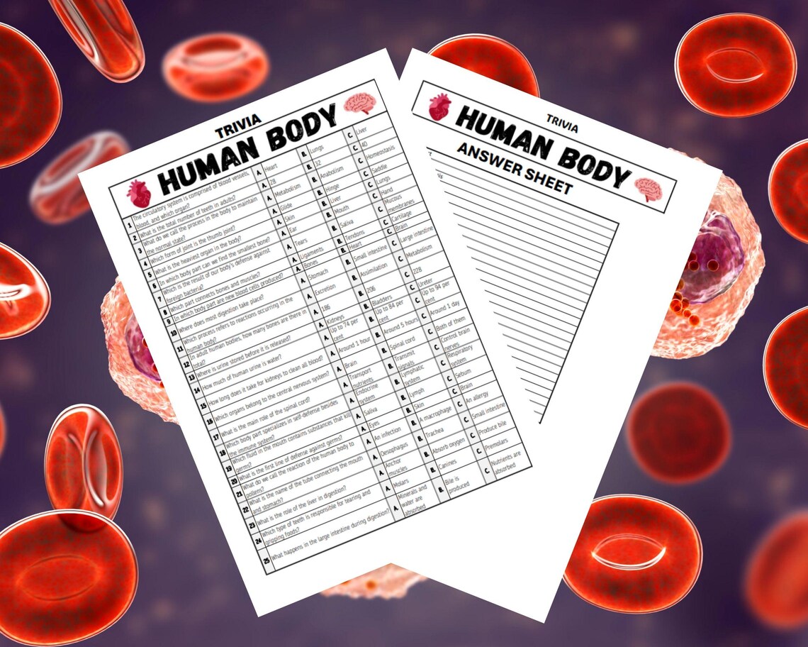 Human Anatomy Trivia Quiz: Science & Physiology Game (digital Download ...