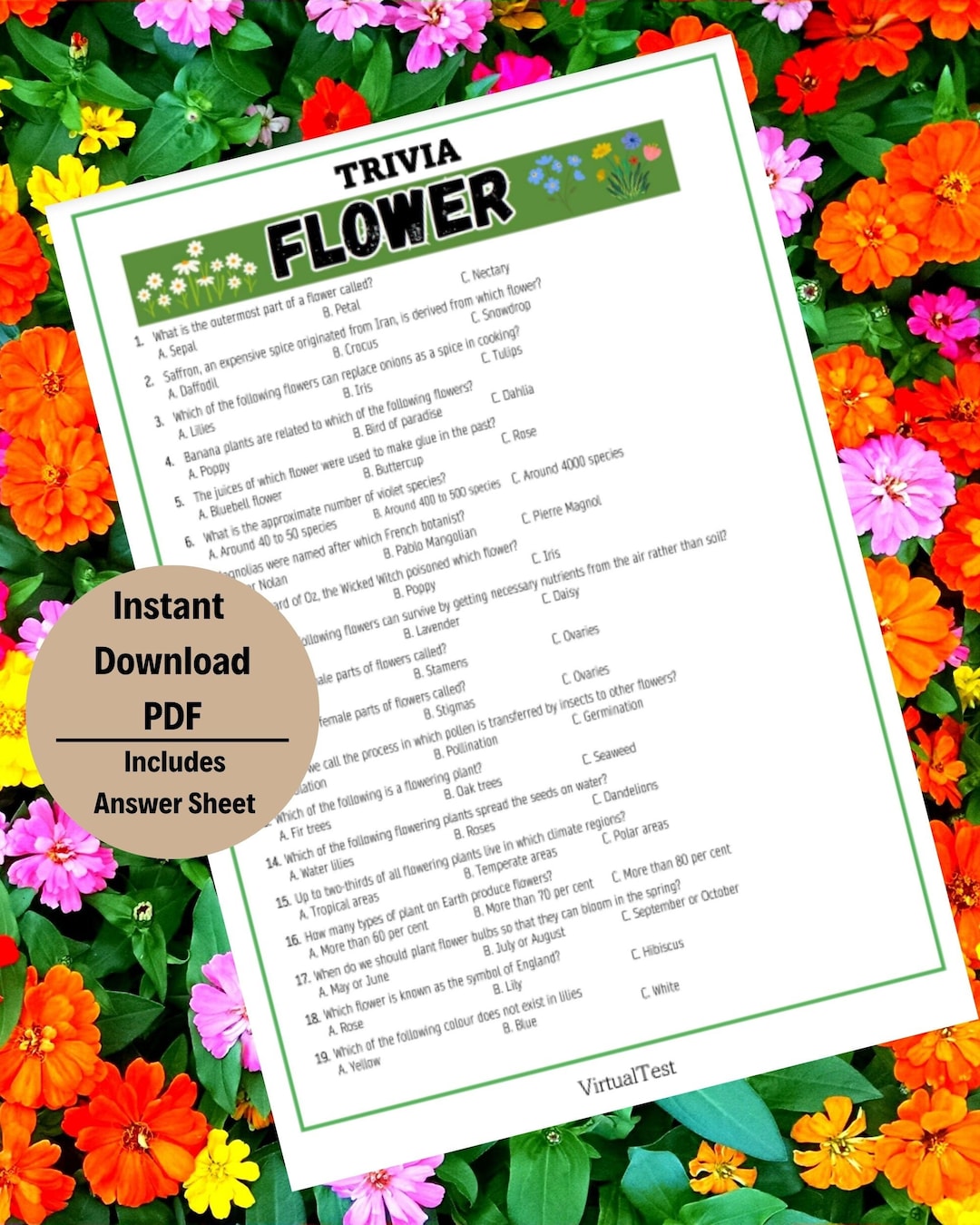 Flower Trivia, Spring Trivia, Trivia Game, Spring Quiz, Garden Trivia ...