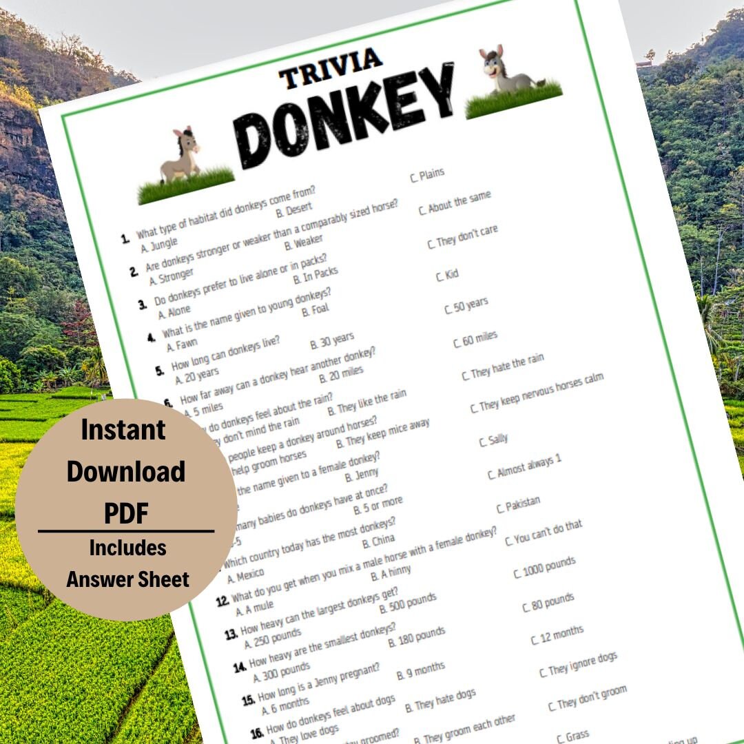 Donkey Trivia, Trivia Games, Trivia Board Game, Quiz Game, Quiz Game ...