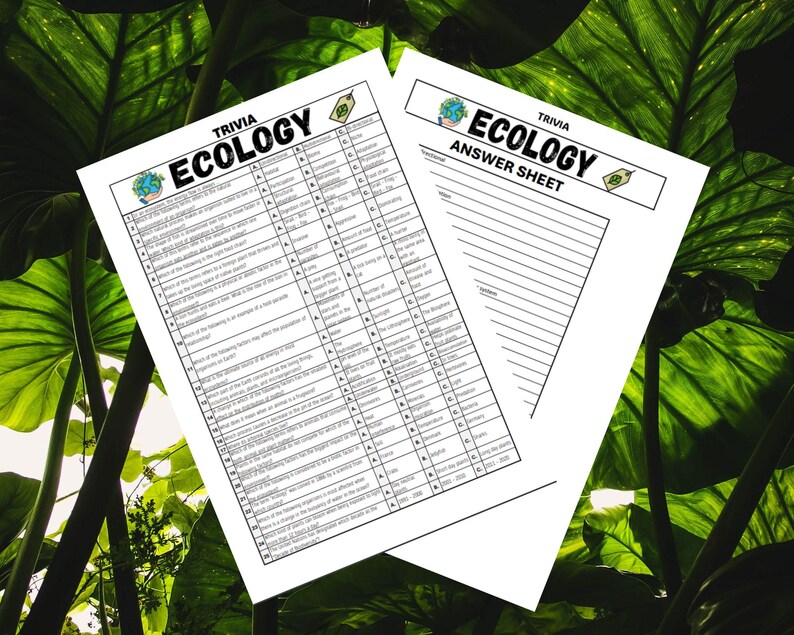 Eco Trivia Game: Environmental Quiz, Teacher Resources (digital Download) - Etsy
