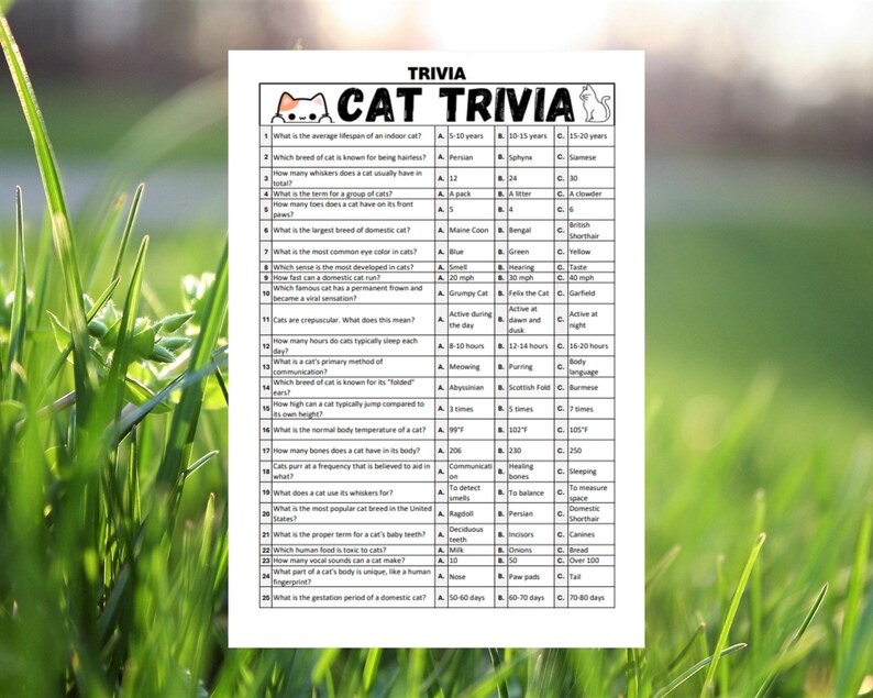 Cat Trivia, Cat Quiz, Animal Trivia, Animal Trivia Game, Fun Animal ...