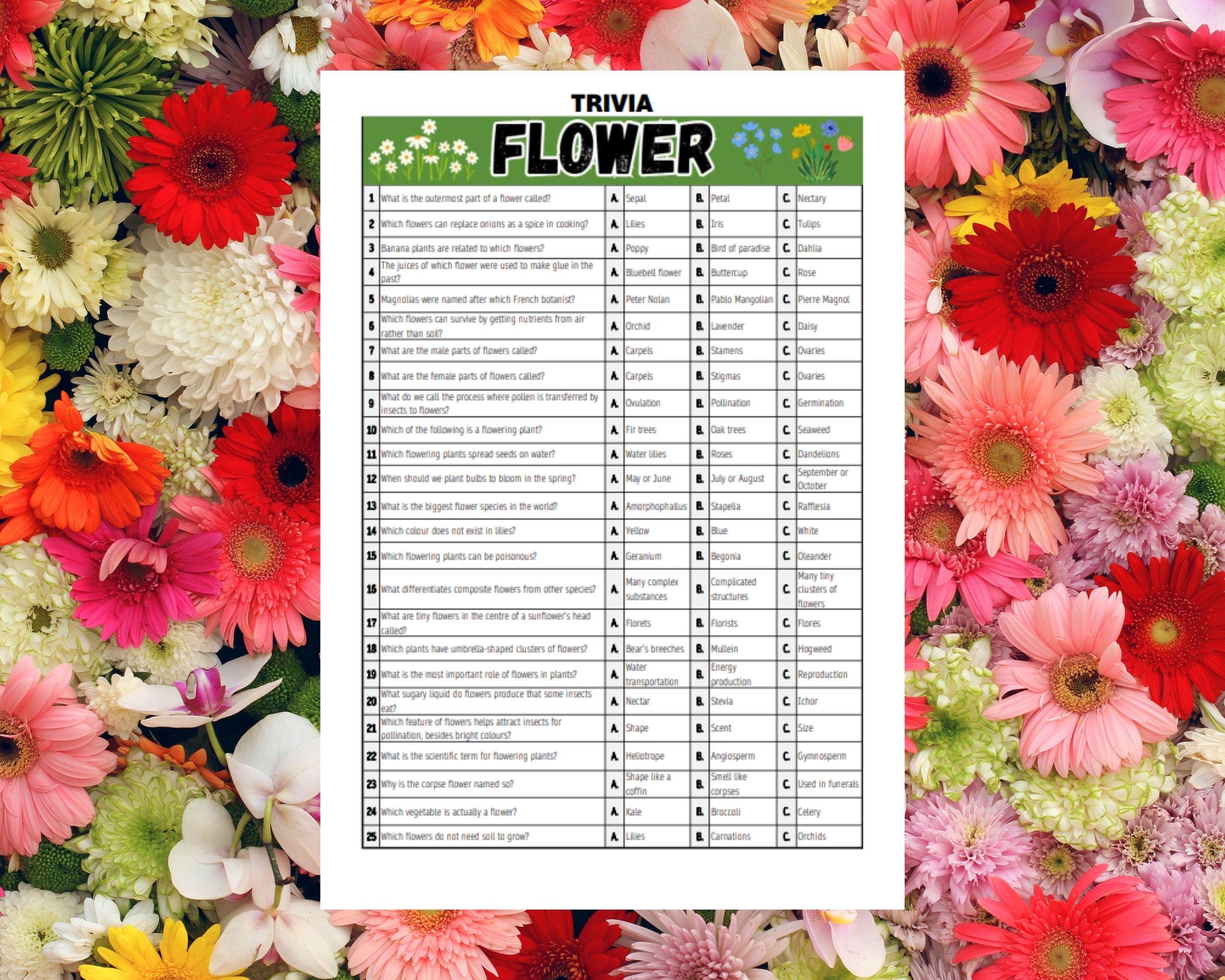 Flower Trivia Game: Fun Plant Facts Quiz (digital Download) - Etsy
