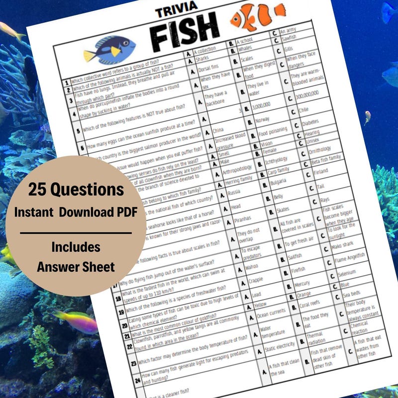 A Fun Facts About Life - Etsy