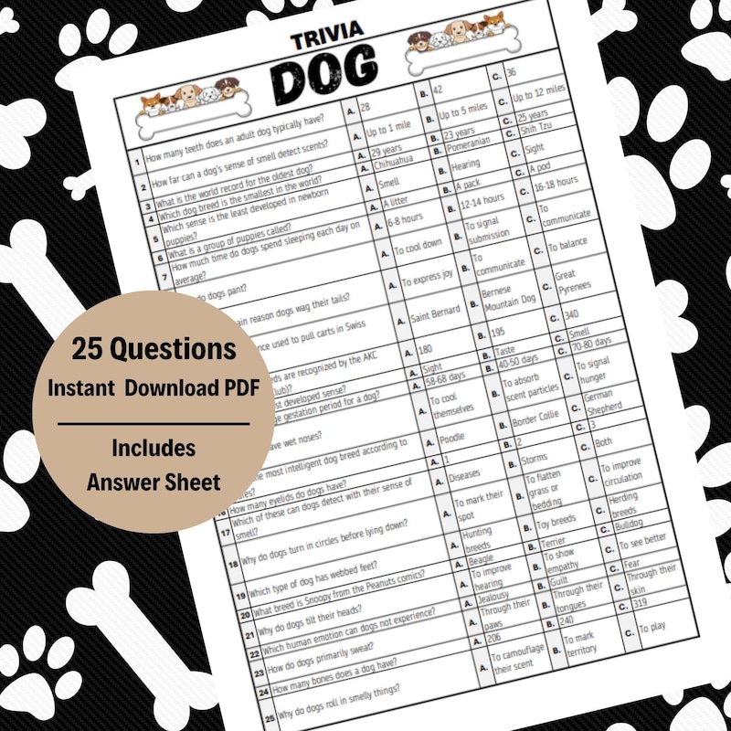 Pets Trivia Kids - Etsy