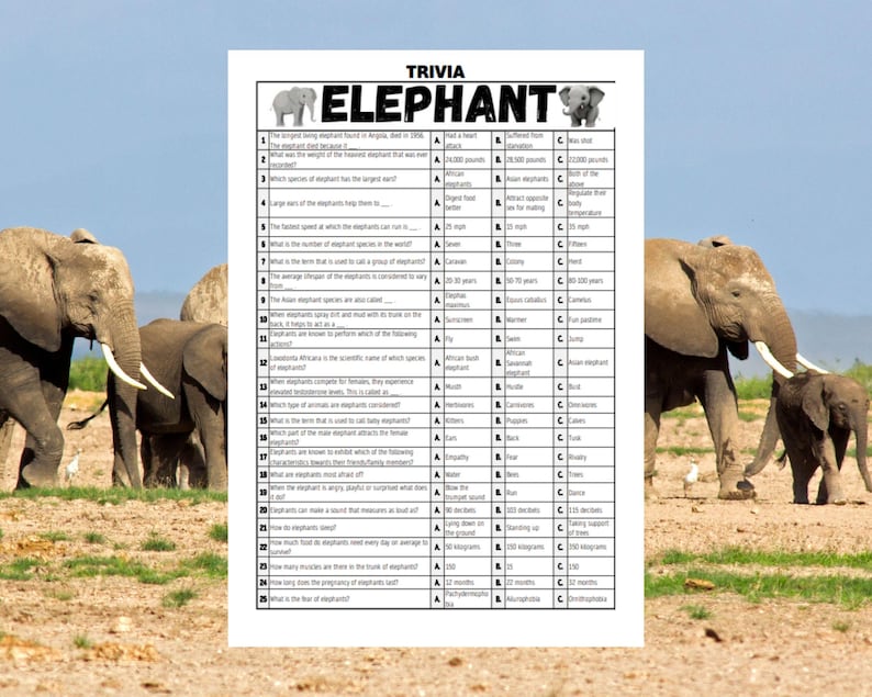 Elephant Trivia: Fun Facts & Games, Educational Gifts for Kids and ...