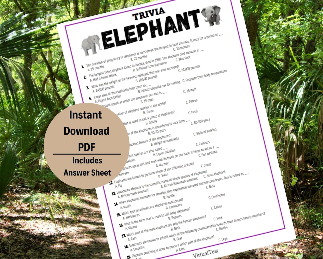 Elephant Trivia, Animal Trivia, Animal Trivia Game, Fun Animal Trivia ...
