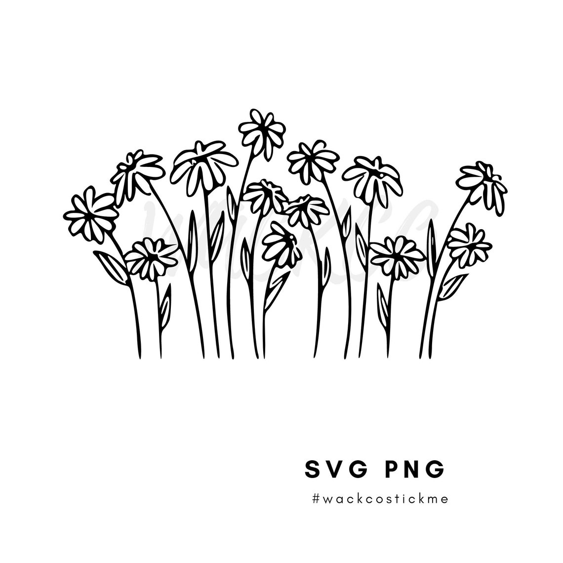 Daisy Daisies Svg Instant Downloadpng Digital Download - Etsy