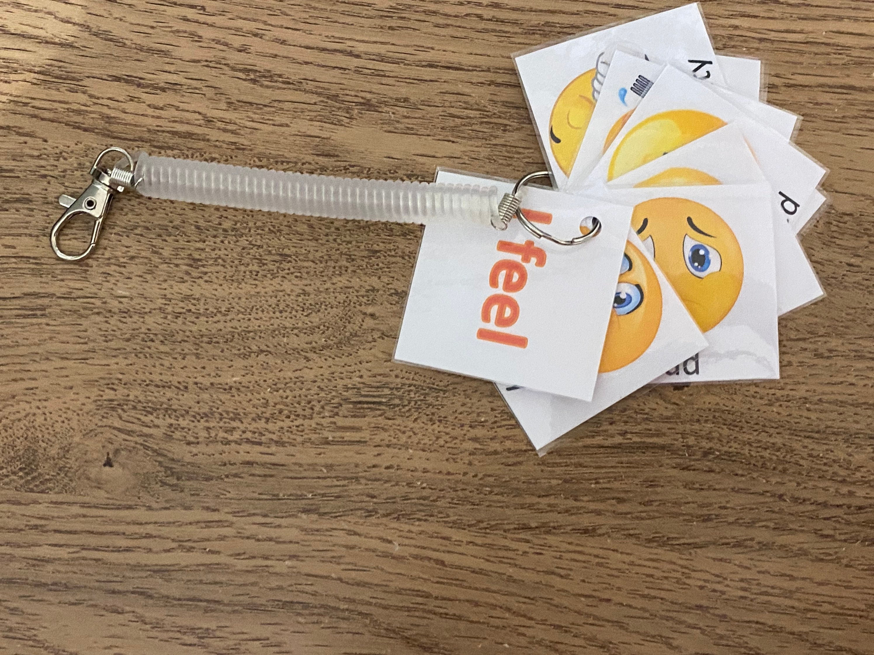 Emotions and Feelings Keyring. Asd/autism/special Needs/non Verbal - Etsy