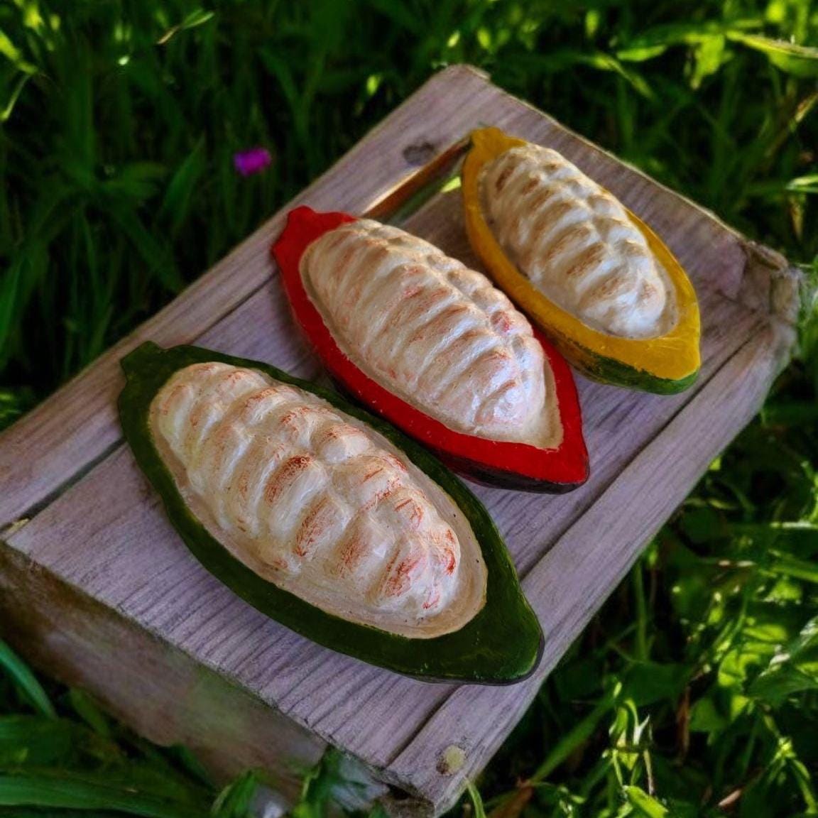 Realistic Fake Cocoa Fruit Replica, Half With Cocoa Beans: Tropical ...