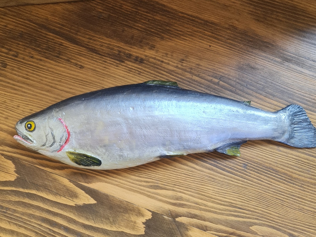Realistic Fake Salmon Fish Replica: Restaurant Display Prop - Etsy