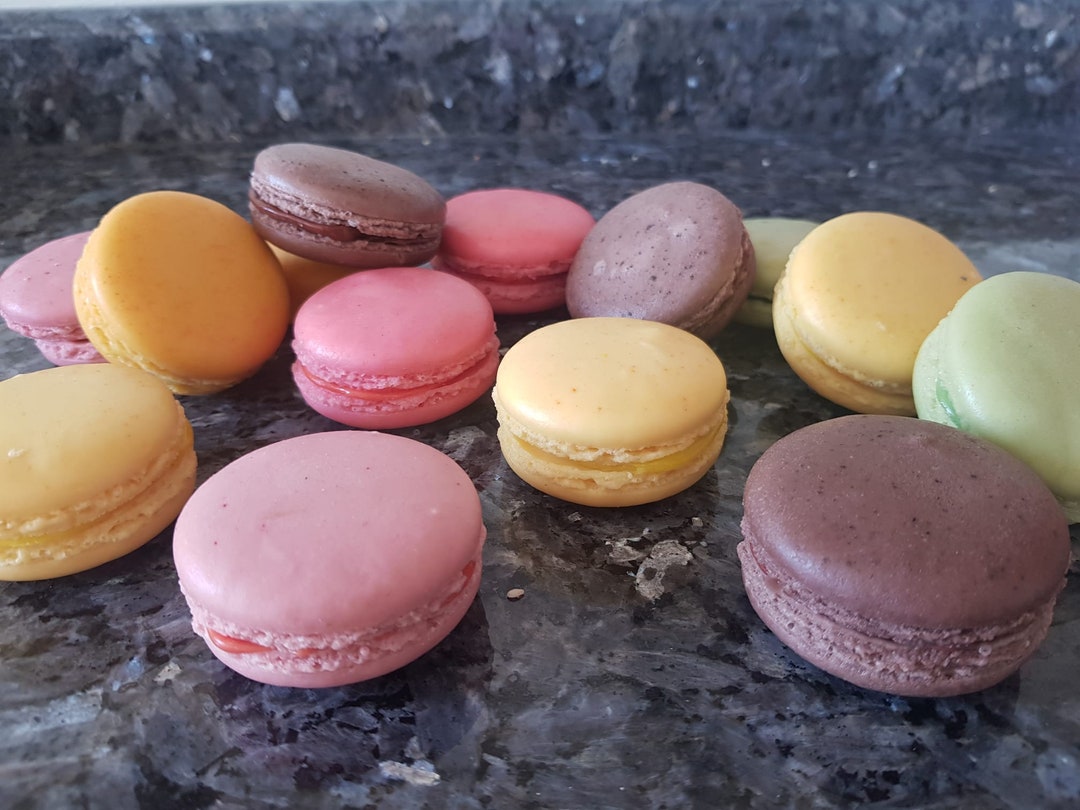 Fake Faux Macaron Set of 6 Replica Macarons for Bakery and Pastry Shop ...
