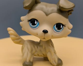 Littlest Pet Shop Collie #893, Authentic Pet Figurine, Collie Europe ...