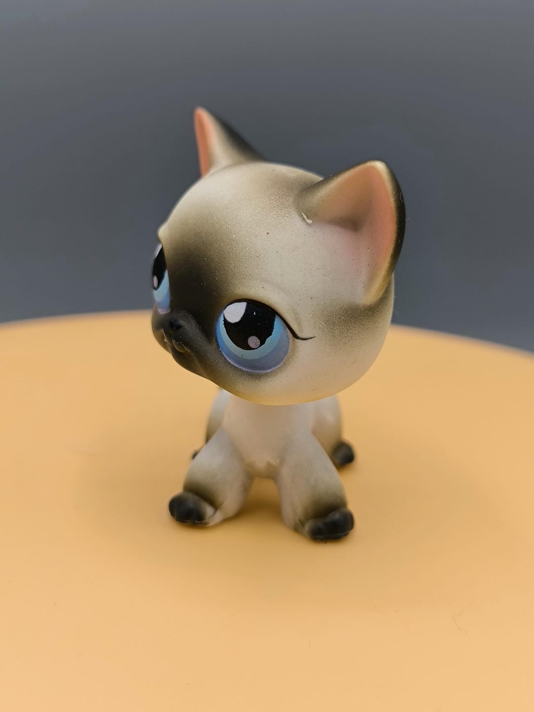 Littlest Pet Shop Shorthair Cat #05, Siamese Cat, Authentic Pet ...