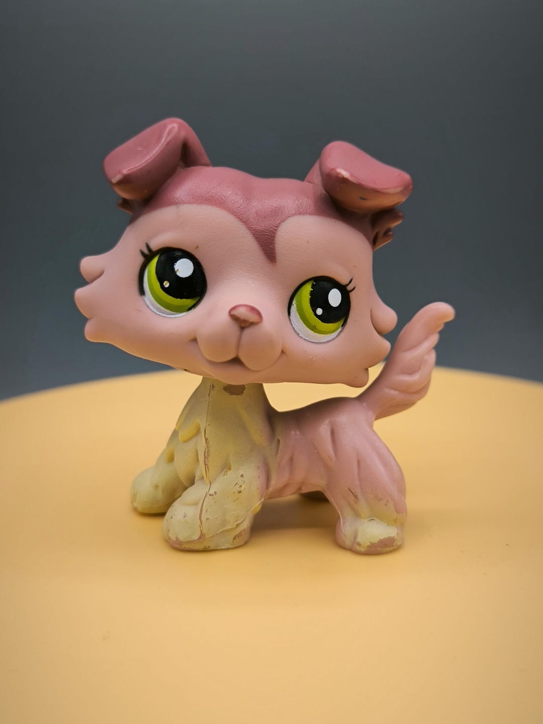 Littlest Pet Shop Collie #1723, Authentic Pet Figurine, Plum/beige ...