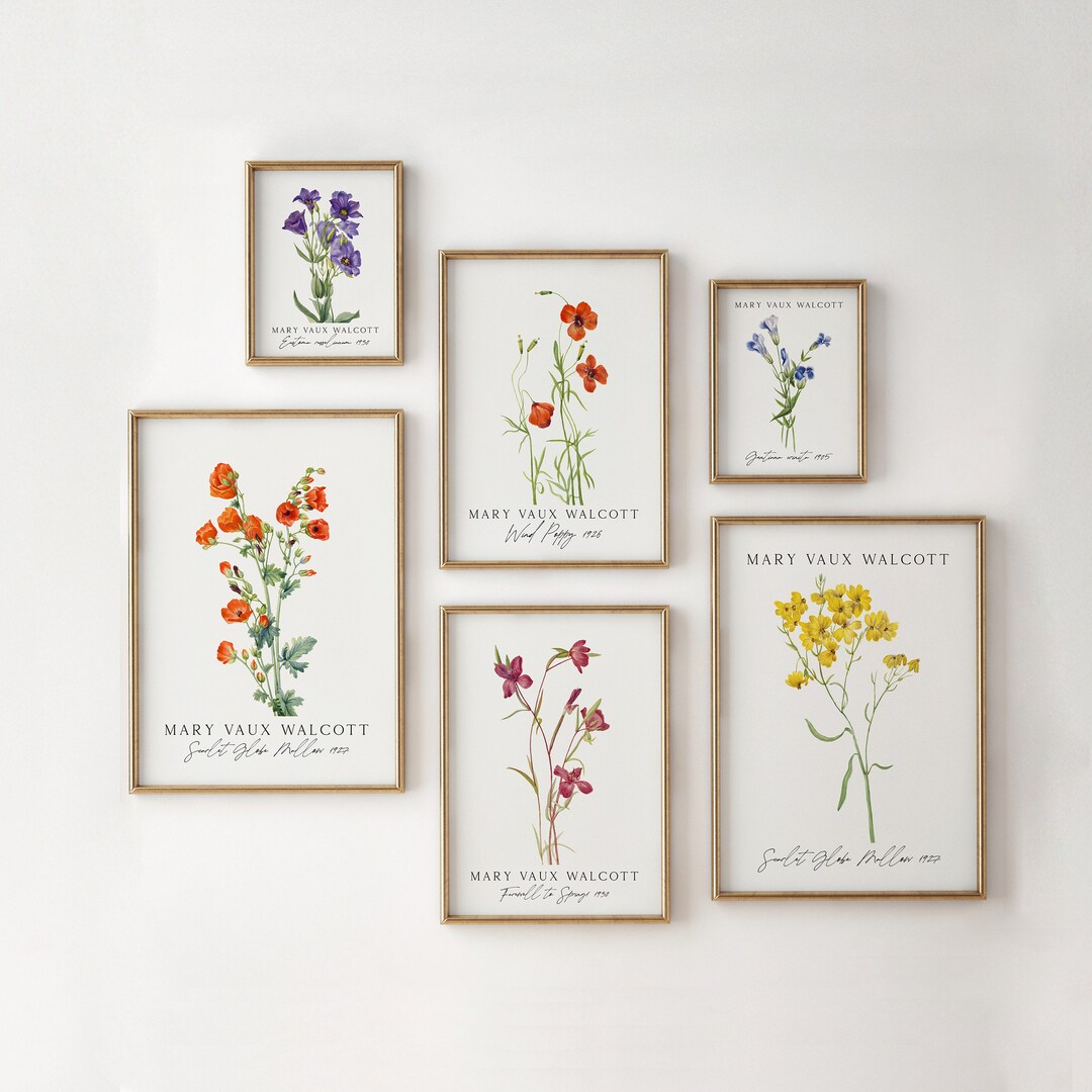 Flower Print Set of 6, Walcott Floral Gallery Art Set, Botanical Print ...
