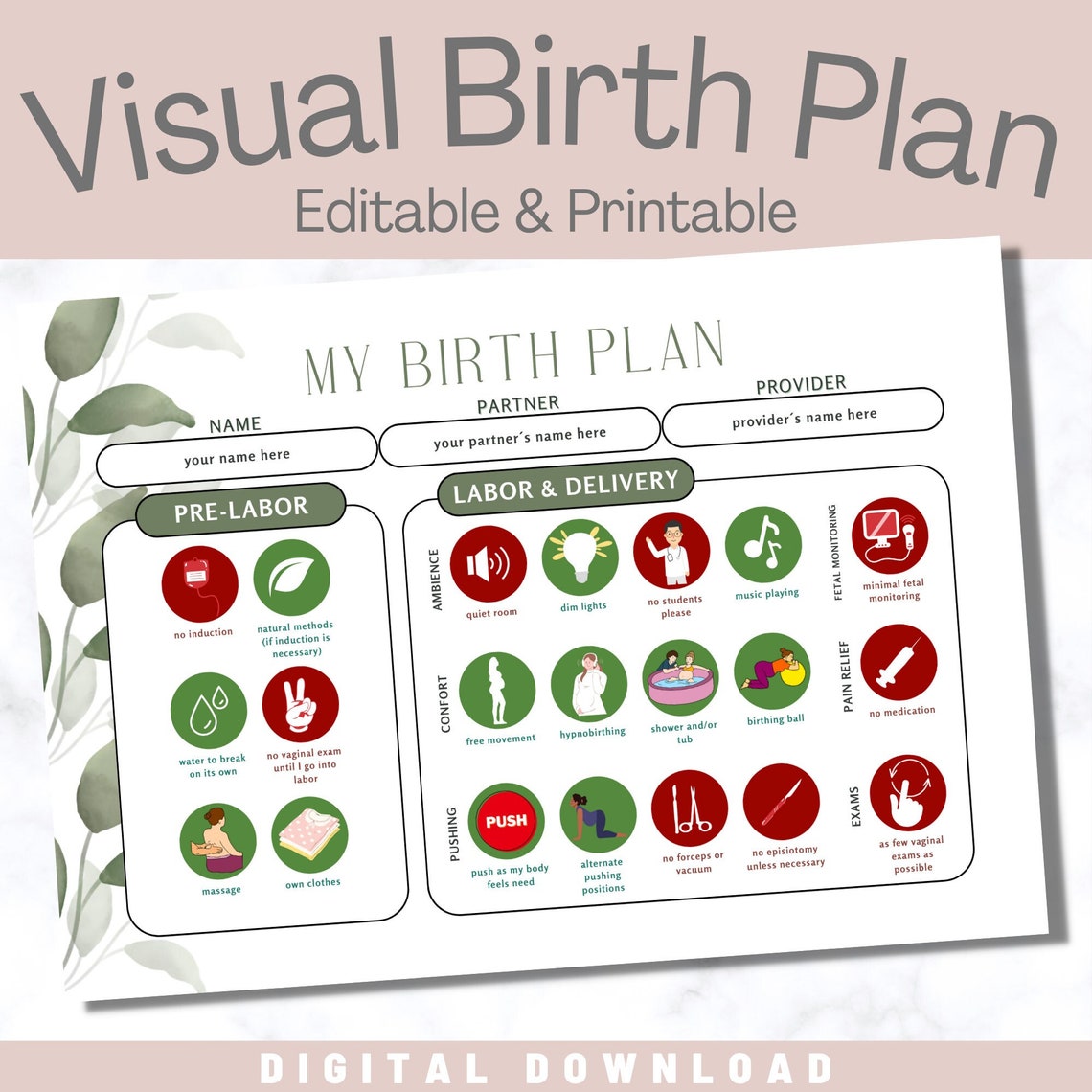 VISUAL BIRTH PLAN Editable & Printable Natural Birth - Etsy