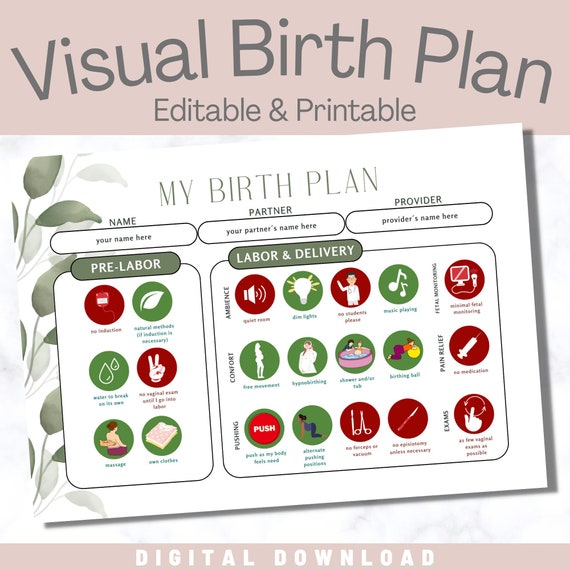 VISUAL BIRTH PLAN Editable & Printable Natural Birth - Etsy