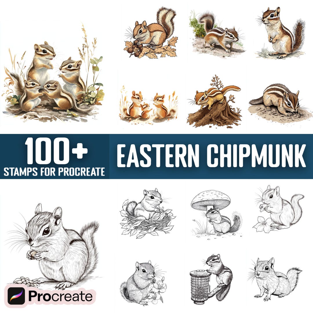 100+ Eastern Chipmunk Procreate Stamps, Brushes for Procreate, Instant Digital Download - Etsy