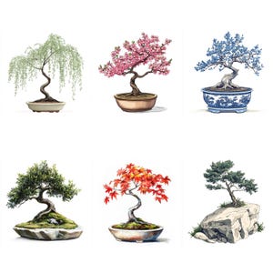 100+ Bonsai Tree Procreate Stamps, Brushes for Procreate, Instant ...