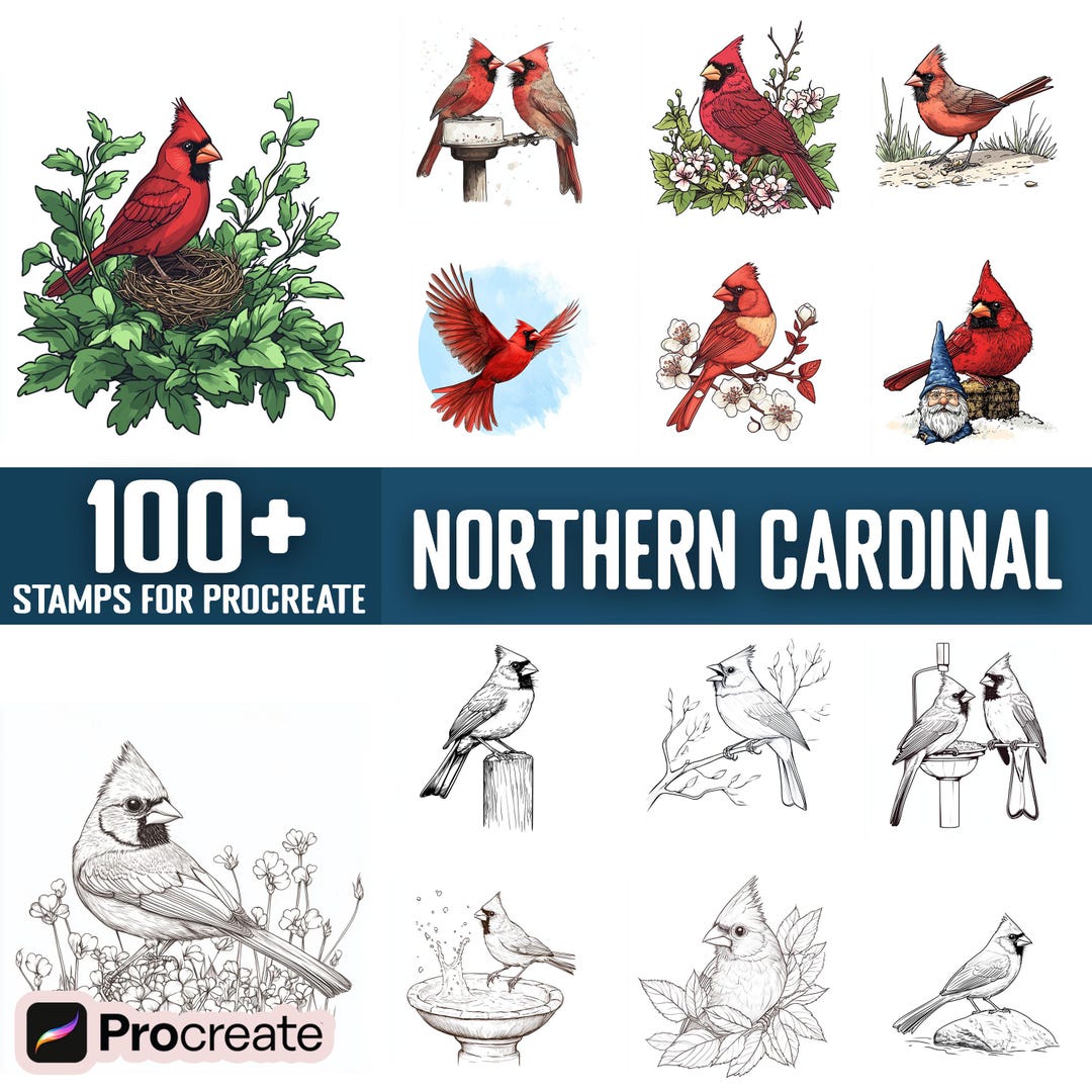 100+ Northern Cardinal Procreate Stamps, Brushes for Procreate, Instant ...