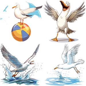 16 Seagull Collection Clipart, Beach Clipart Bundle, Commercial Use PNG ...