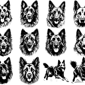 Shiloh Shepherd SVG Bundle, Set of 100, Instant Digital Download, Png ...