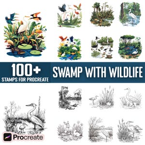 100+ Swamp of Wildlife Procreate Stamps, Brushes for Procreate, Instant ...