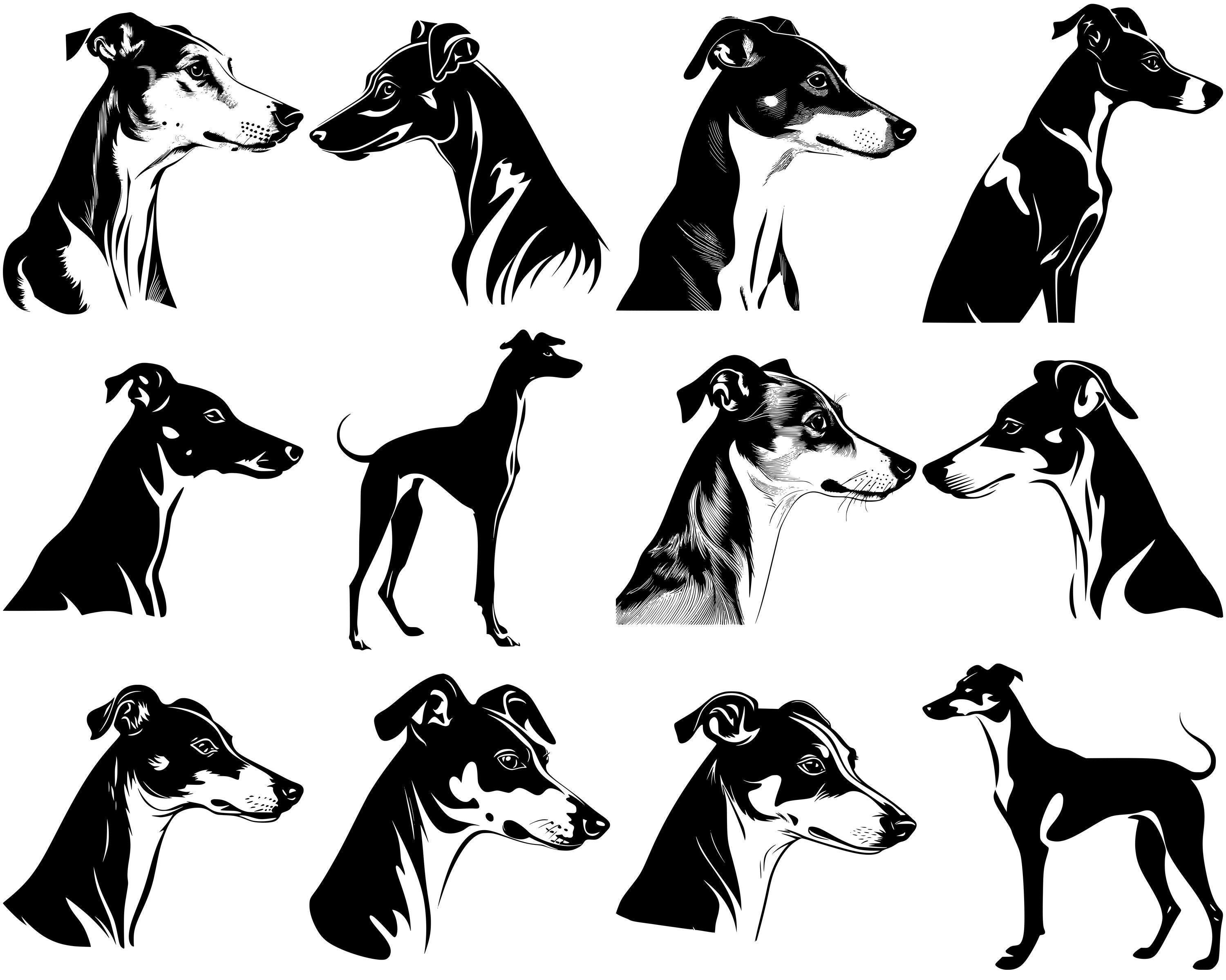 Whippet SVG Bundle, Set of 100, Instant Digital Download, Png, Svg, Eps ...