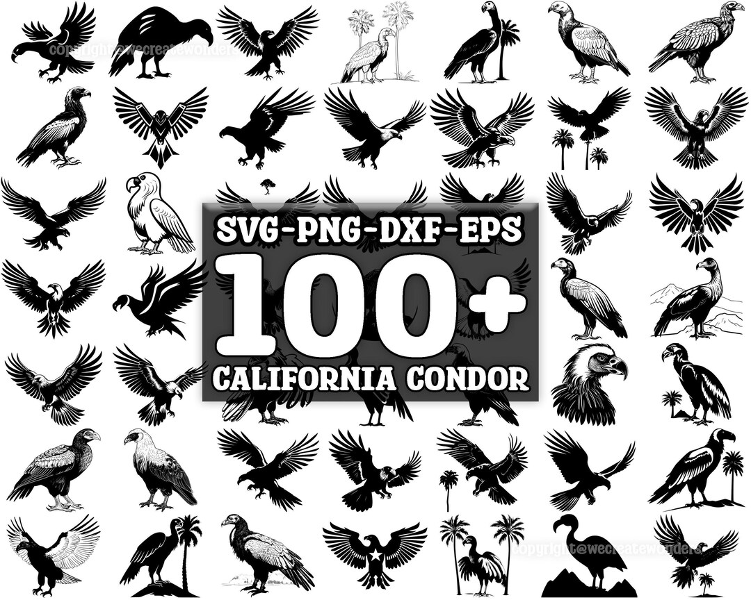 California Condor SVG Bundle, Set of 100, Instant Digital Download, Png ...
