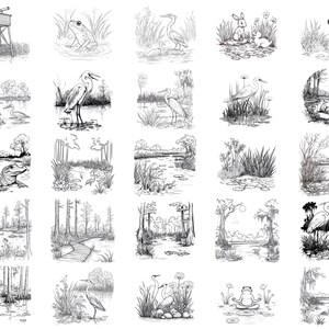 100+ Swamp of Wildlife Procreate Stamps, Brushes for Procreate, Instant ...