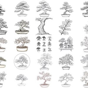 100+ Bonsai Tree Procreate Stamps, Brushes for Procreate, Instant ...