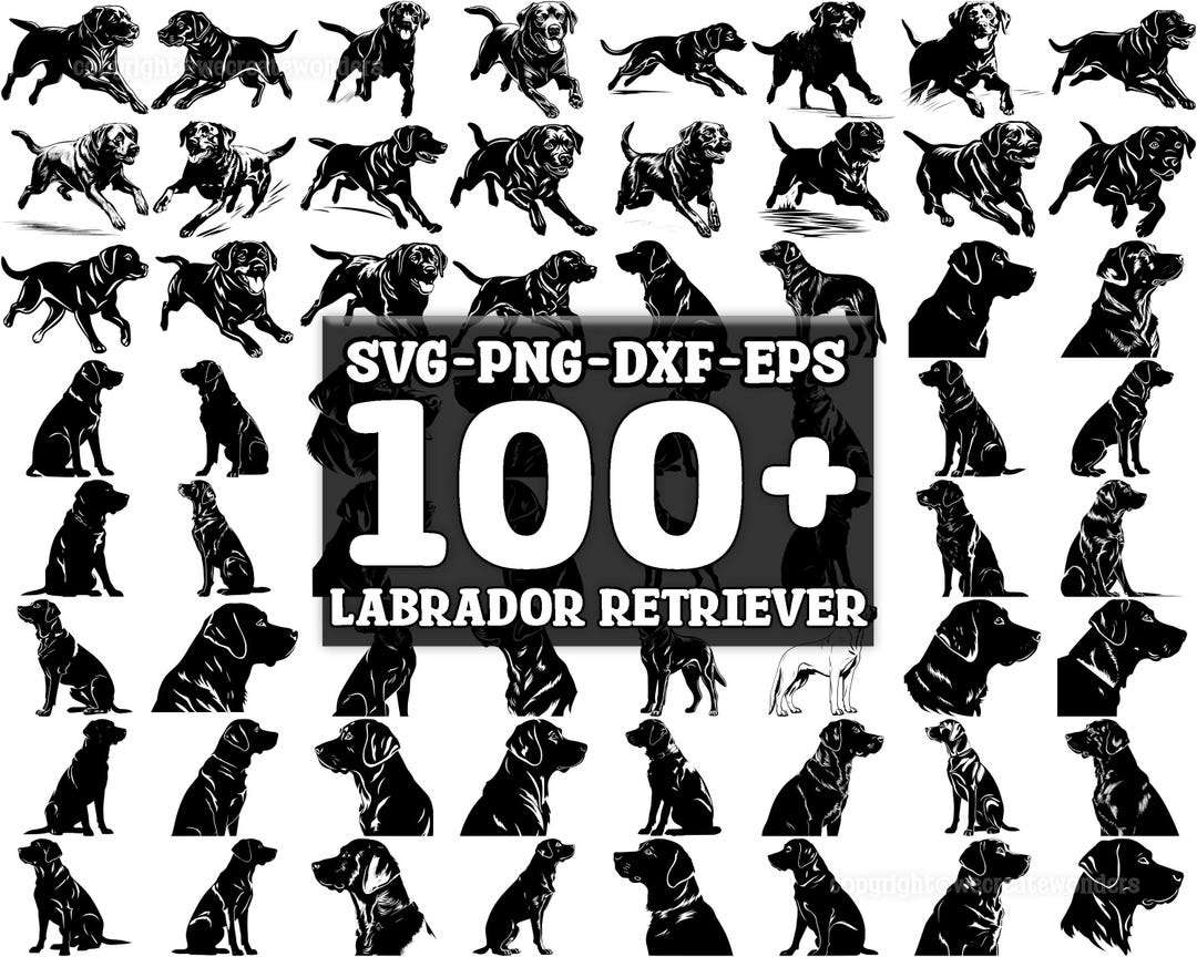 Labrador SVG Bundle, Set of 100, Instant Digital Download, Png, Svg ...