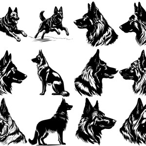 Shiloh Shepherd SVG Bundle, Set of 100, Instant Digital Download, Png ...