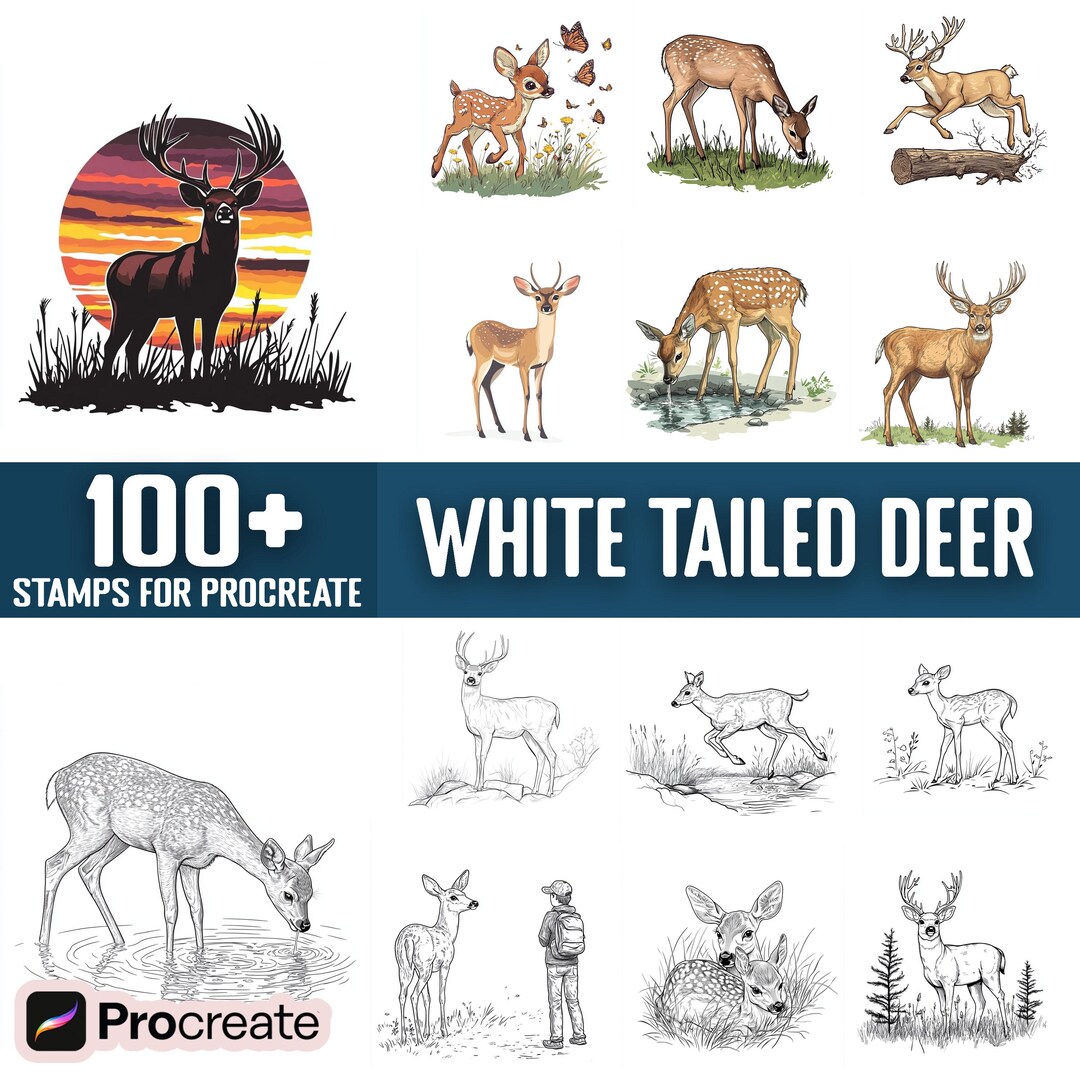 100+ White Tailed Deer Procreate Stamps, Brushes for Procreate, Instant ...