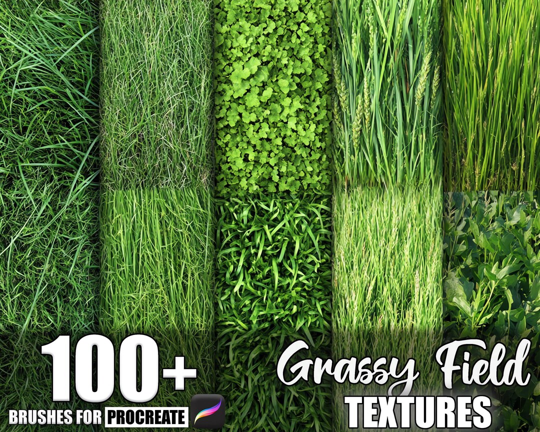 100+ Grassy Field Procreate Textures, Brushes for Procreate, Instant ...