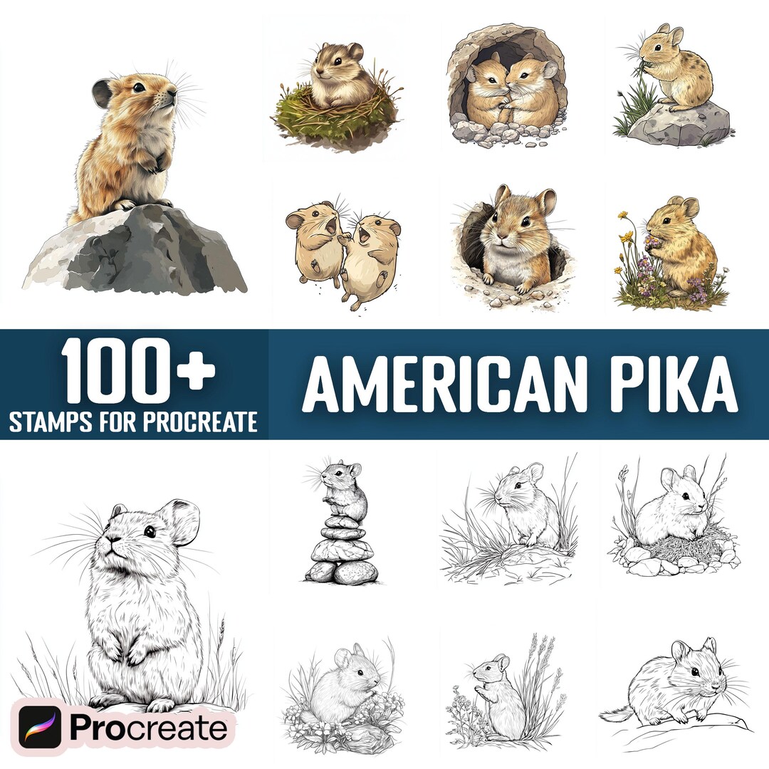 100+ American Pika Procreate Stamps, Brushes for Procreate, Instant ...