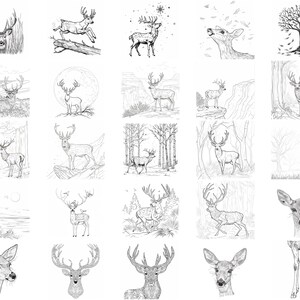 100+ Deer Procreate Stamps, Brushes for Procreate, Instant Digital ...