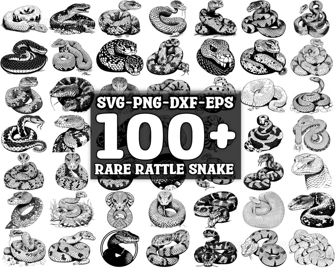 Rattle Snake SVG Bundle, Set of 100, Instant Digital Download, Png, Svg ...