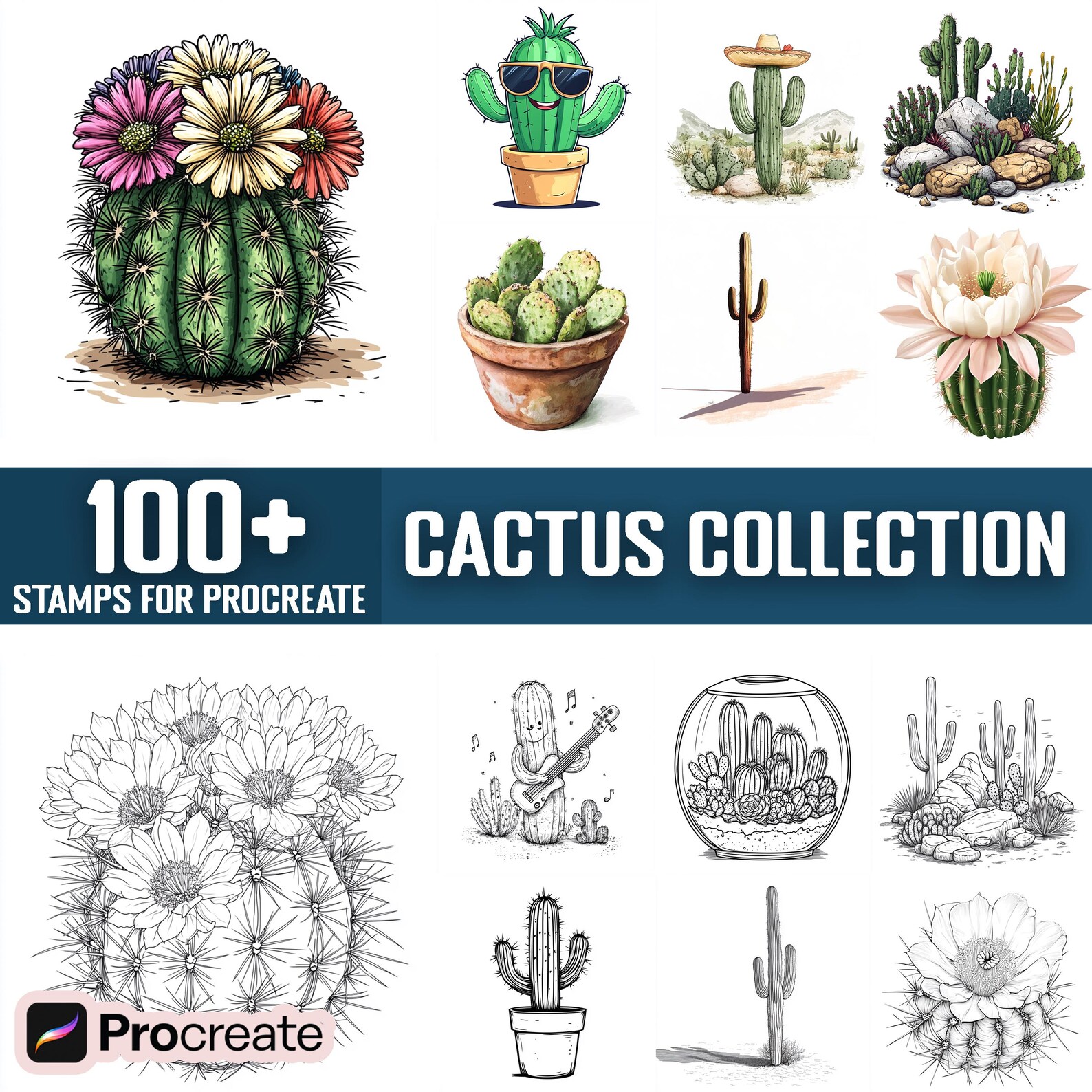 100+ Cactus Collection Procreate Stamps, Brushes for Procreate, Instant ...
