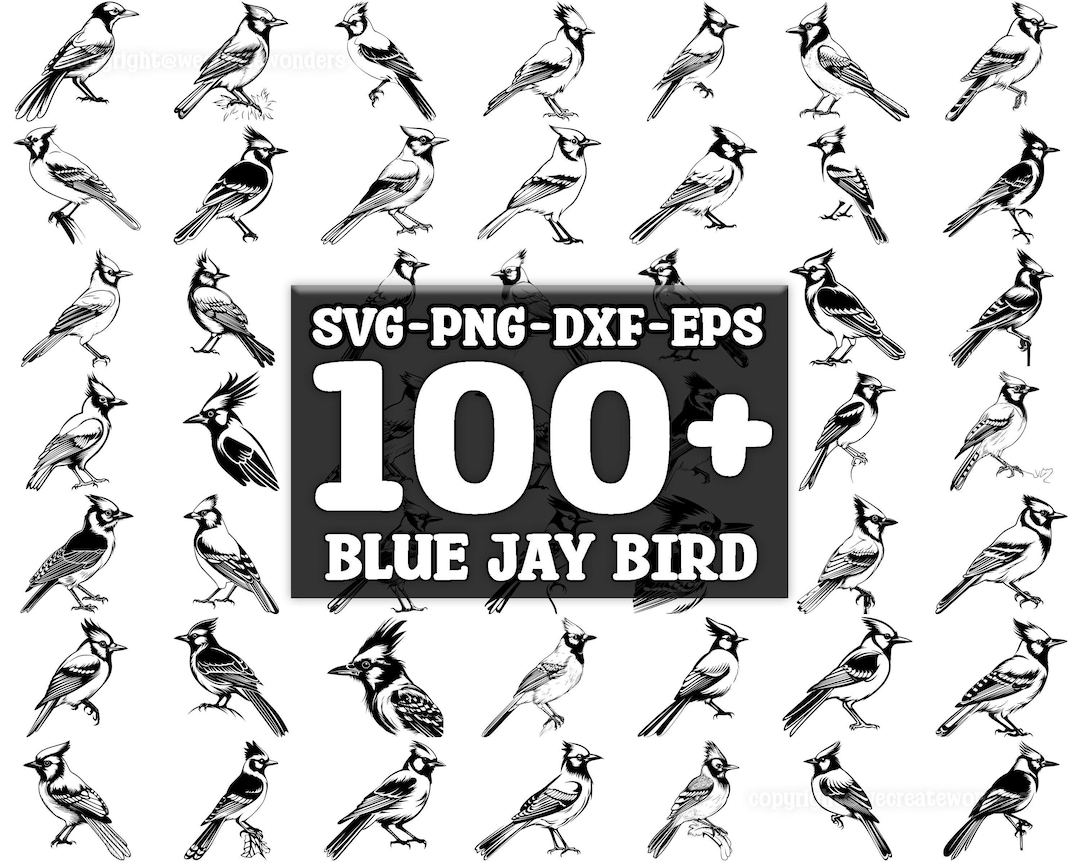 Blue Jay SVG Bundle, Set of 100, Instant Digital Download, Png, Svg ...