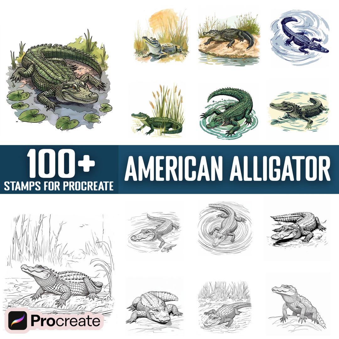 100+ American Alligator Procreate Stamps, Brushes for Procreate ...