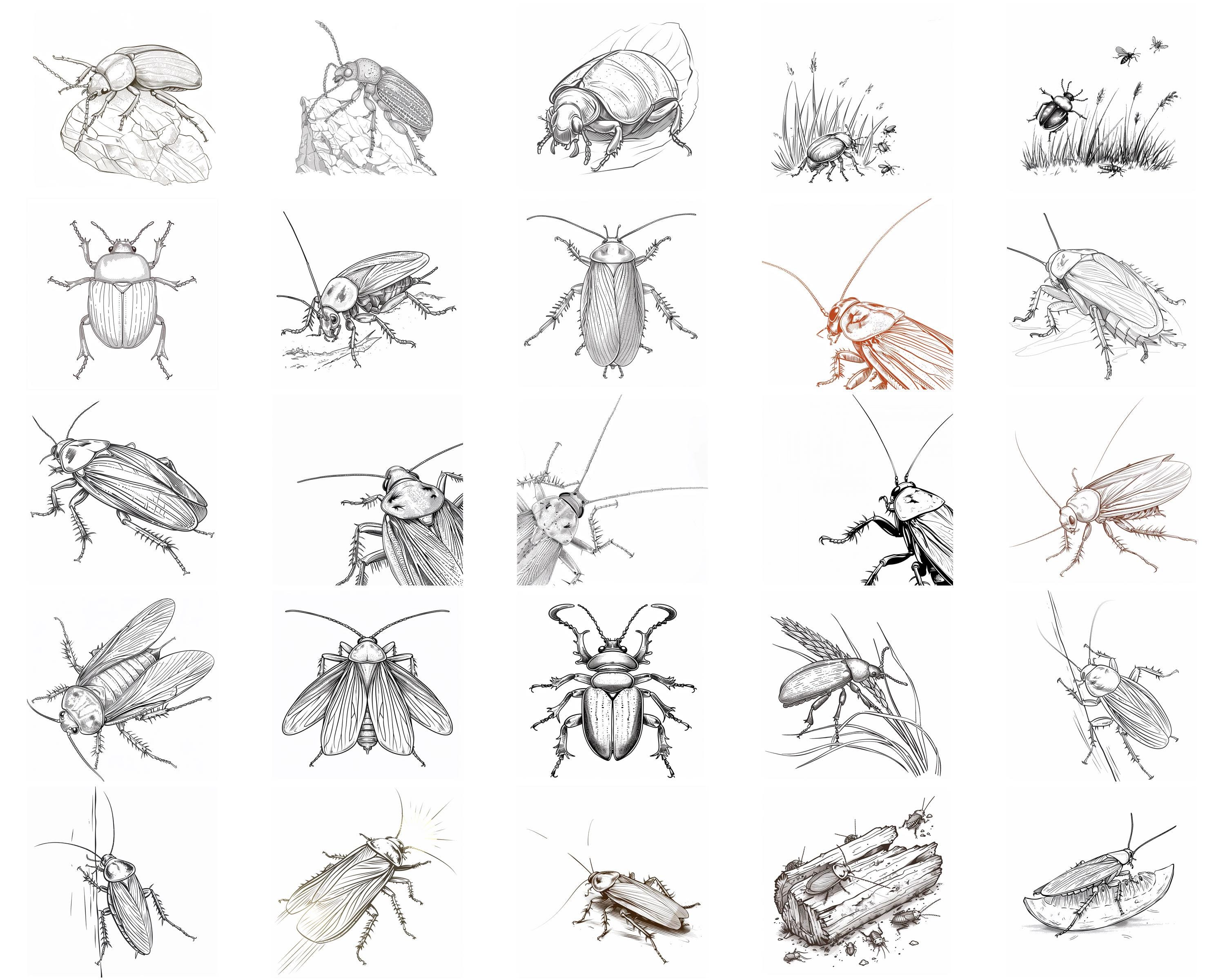 100+ Cockroaches and Beetles Procreate Stamps, Brushes for Procreate ...