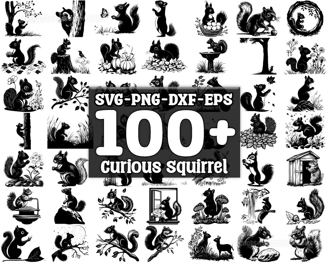 Curious Squirrel SVG Bundle, Set of 100, Instant Digital Download, Png ...