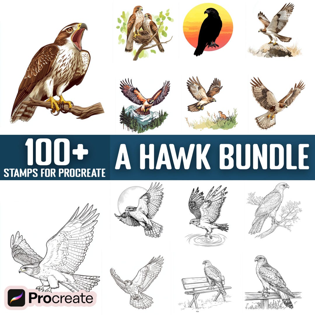 100+ Hawk Bundle Procreate Stamps, Brushes for Procreate, Instant ...