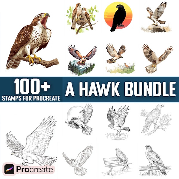 Falcons Hawk Art - Etsy UK