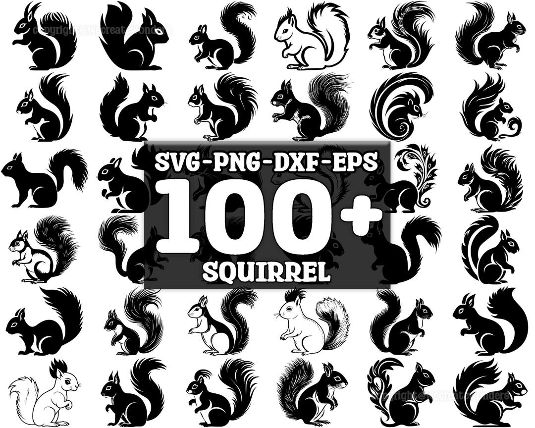 Squirrel SVG Bundle, Set of 100, Instant Digital Download, Png, Svg ...