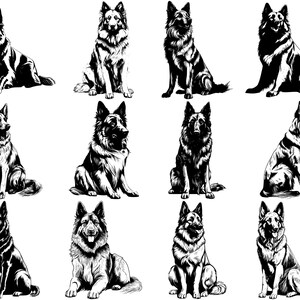 Shiloh Shepherd SVG Bundle, Set of 100, Instant Digital Download, Png ...