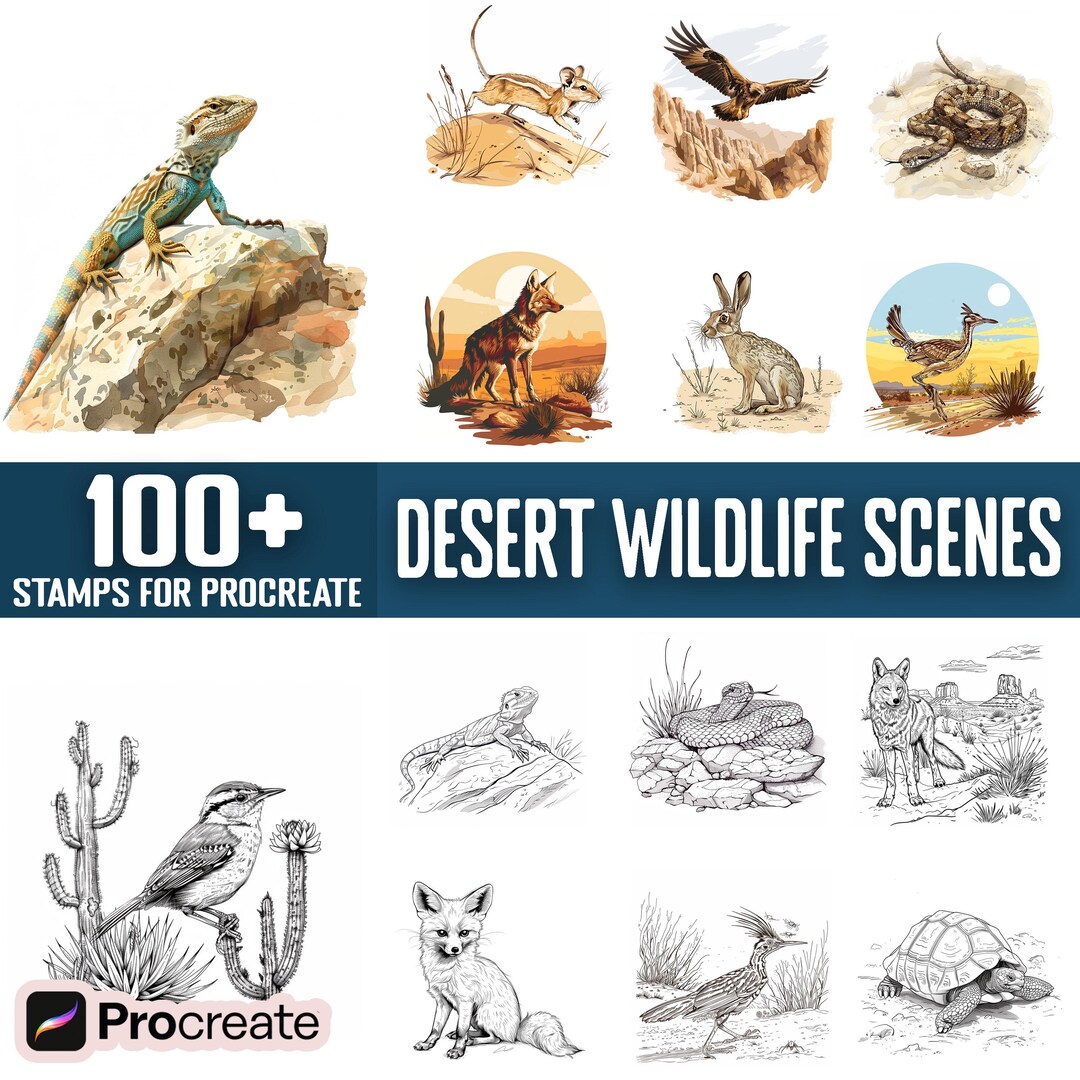 100+ Desert Wildlife Scene Procreate Stamps, Brushes for Procreate ...