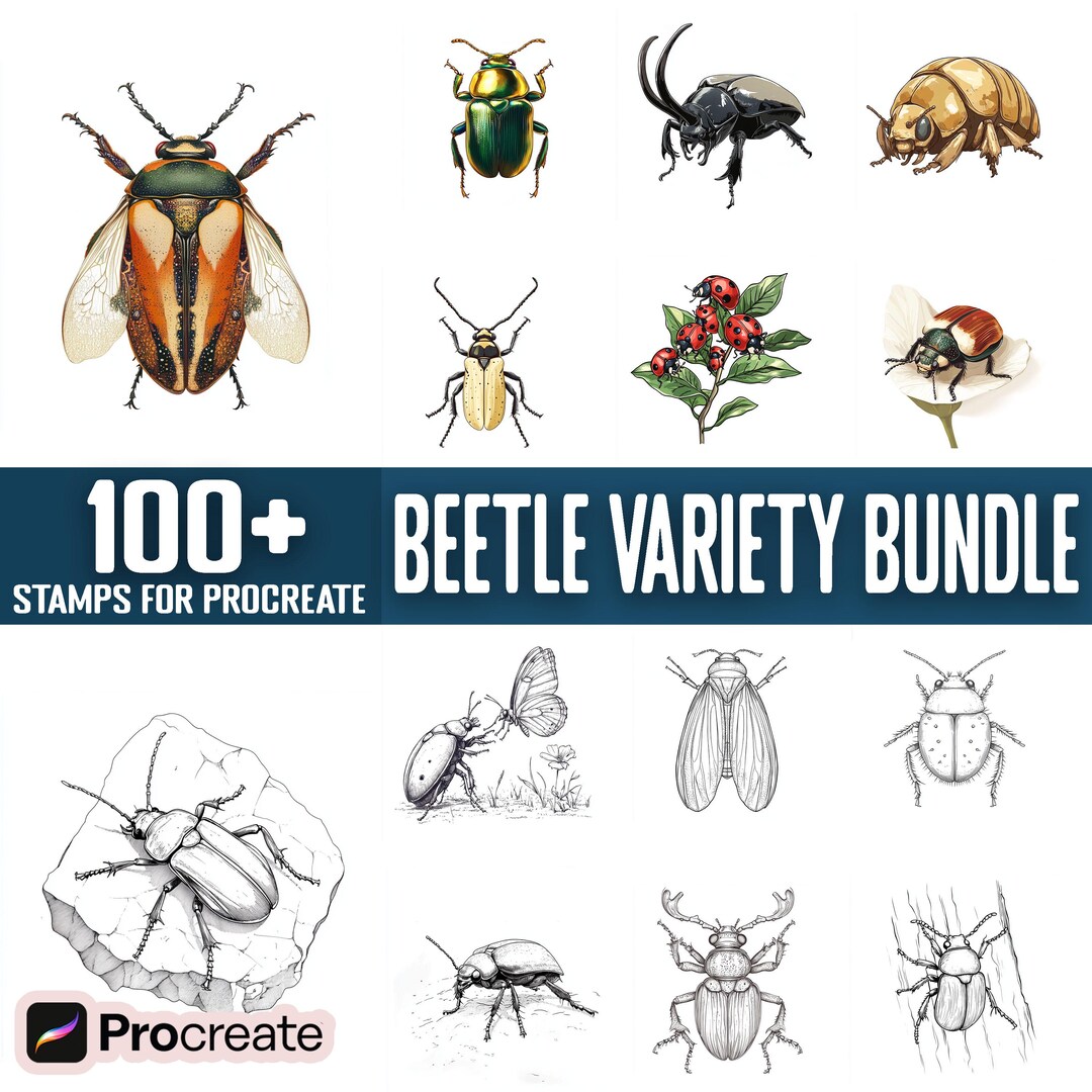 100+ Beetle Variety Procreate Stamps, Brushes for Procreate, Instant ...