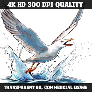 16 Seagull Collection Clipart, Beach Clipart Bundle, Commercial Use PNG ...